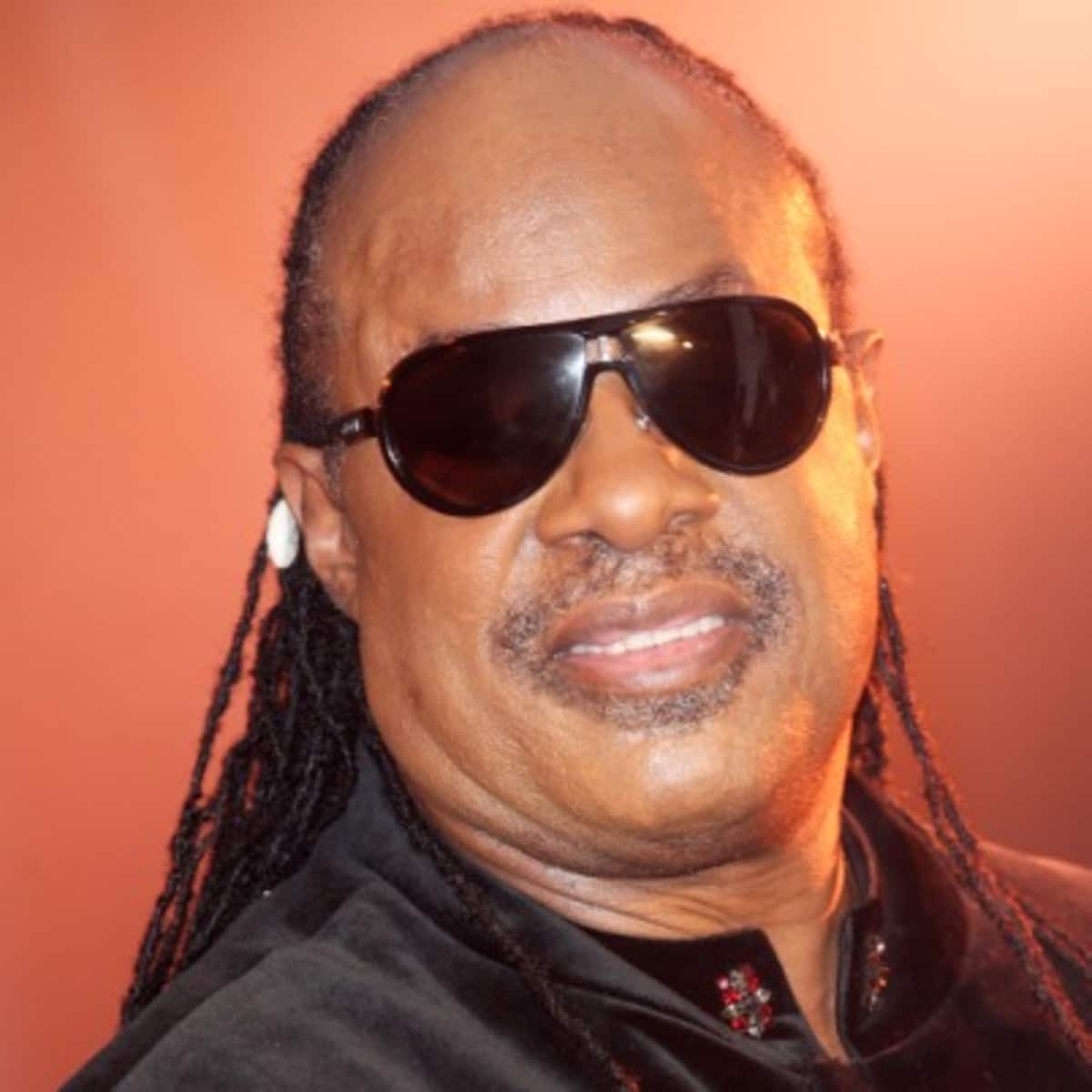 史蒂夫·汪达 (Stevie Wonder)：艺术家传记—— Salve Music