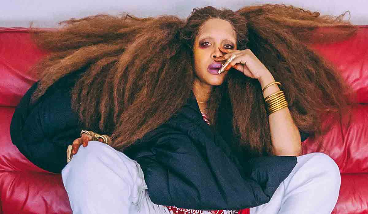 Erykah Badu (Ерика Баду): Биография певицы - Salve Music